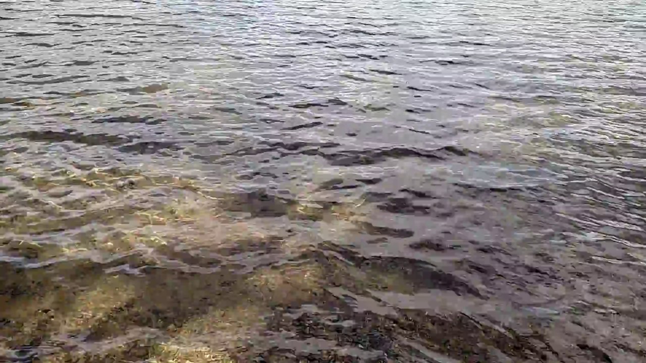 Sound of Lapping Waves on the Lake Shore - 1 Minute Meditation - YouTube