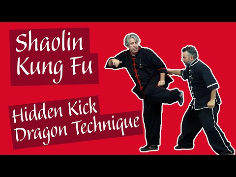 Shaolin Technique - Hidden Kick Dragon