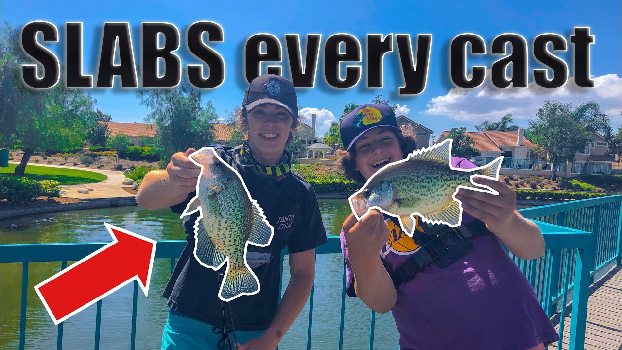 Crappie fishing is to easy 40+crappie at🚫private menifee lakes🚫 - YouTube