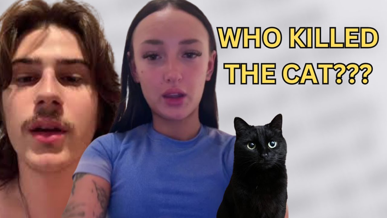 The Rhegan777 Cat Controversy: Allegations of Neglect and Abuse ...