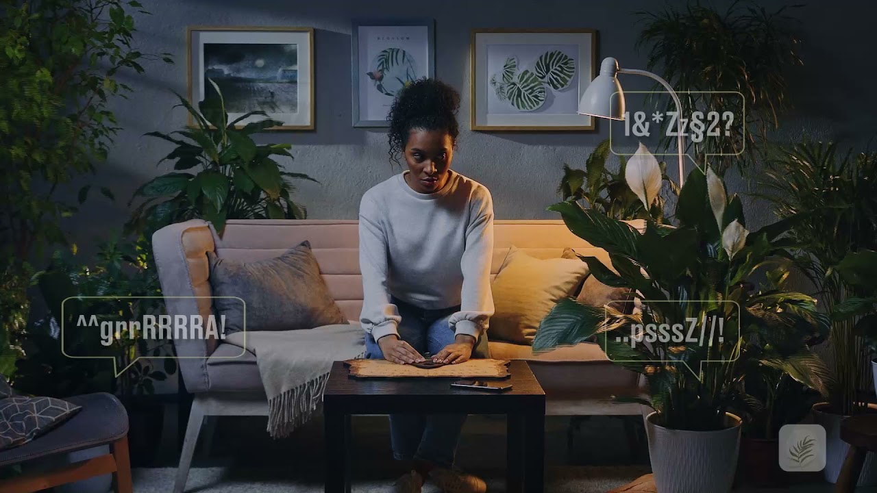 Blossom – Secret Plant Language - YouTube
