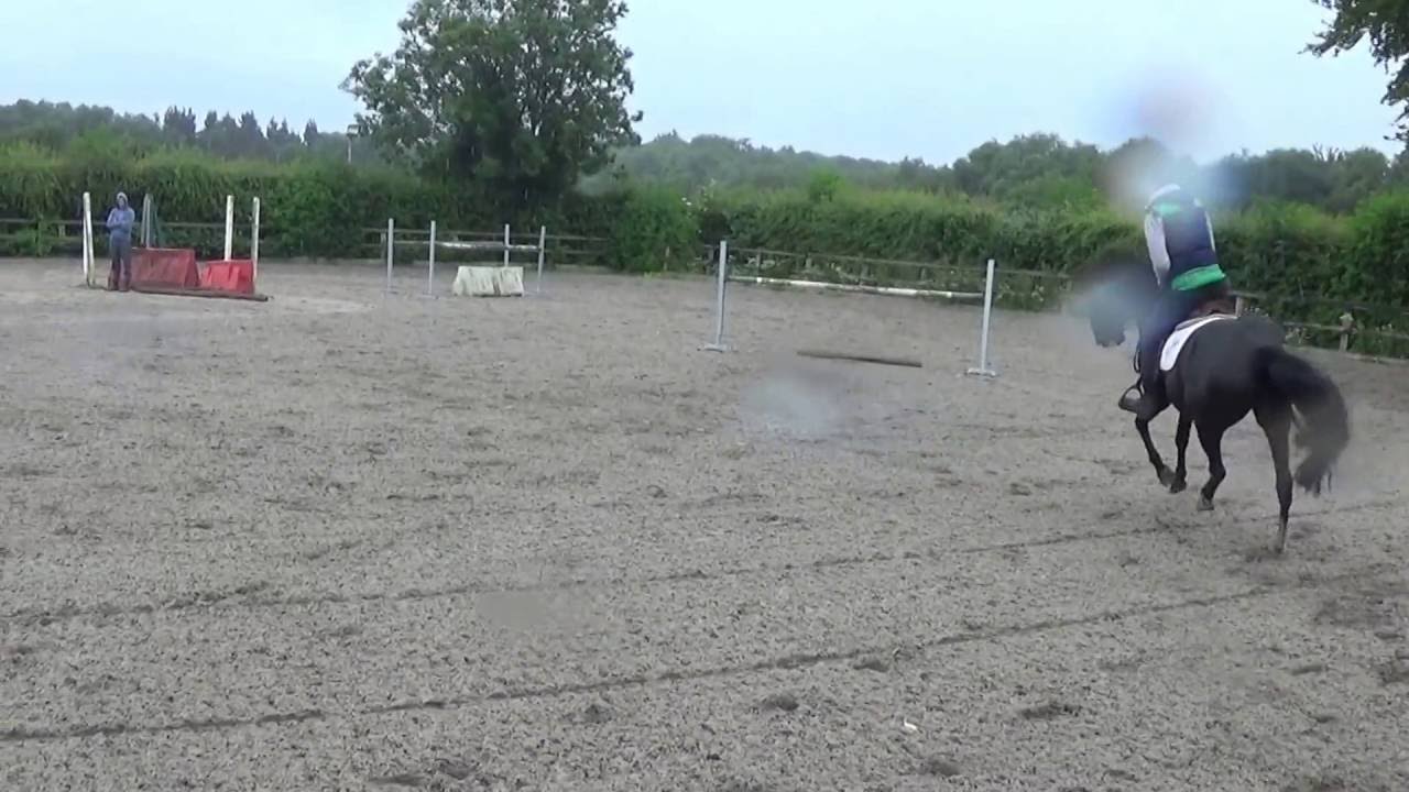 5 year old 148 pony European prospect - YouTube