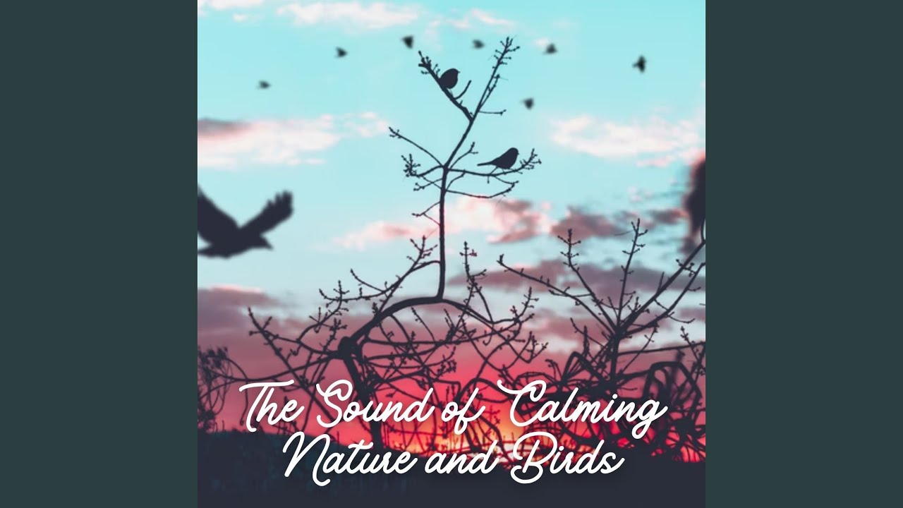 Nature's Calling - YouTube