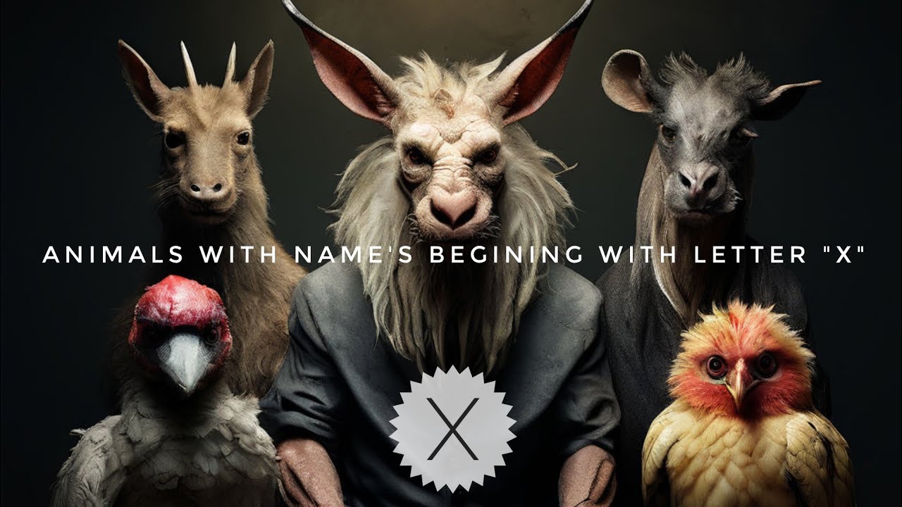 Animals with name's beginning with letter "X" | Wild Life Information # ...