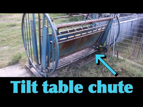 Goat Chute | Tilt Table Chute For Goats | Goat Working Pens| Kiko Goats ...