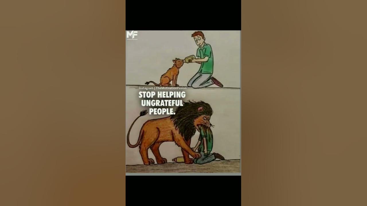 Pictu Re With Deep Meaning truffle picture life youtubeshorts pictu-re-with-deep-meaning-truffle-picture-life-youtubeshorts