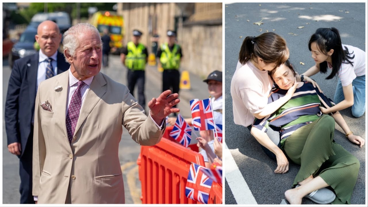 ROYAL EMERGENCY: King Charles' Visit Interrupted by Fainting Fan in ...