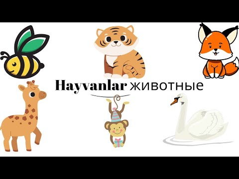 Rusça Hayvanlar Tamamı