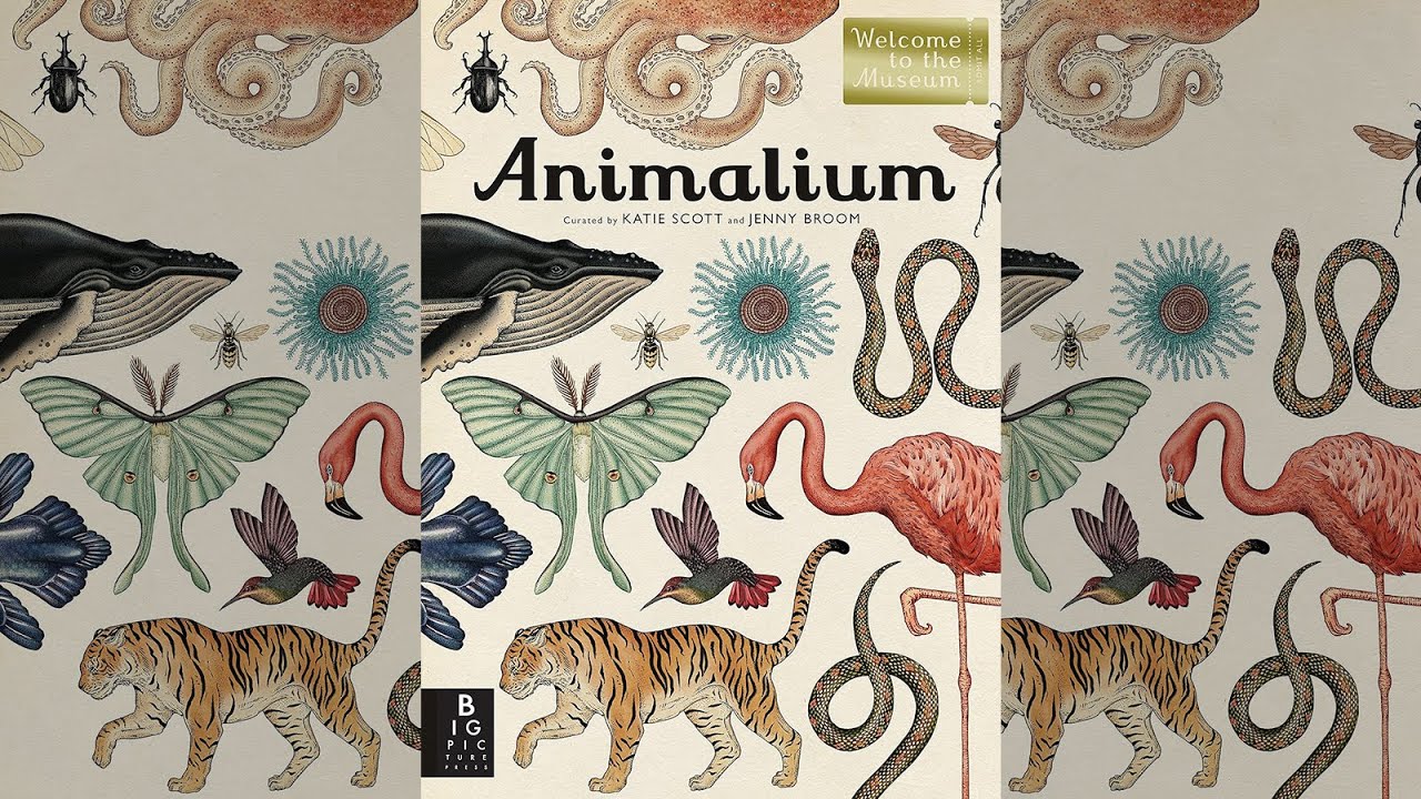 Animalium: Welcome to the Museum - YouTube