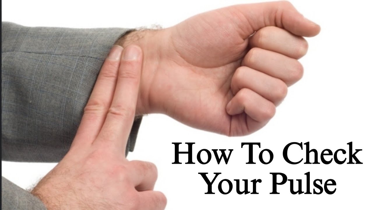 How To Check Your Pulse - YouTube