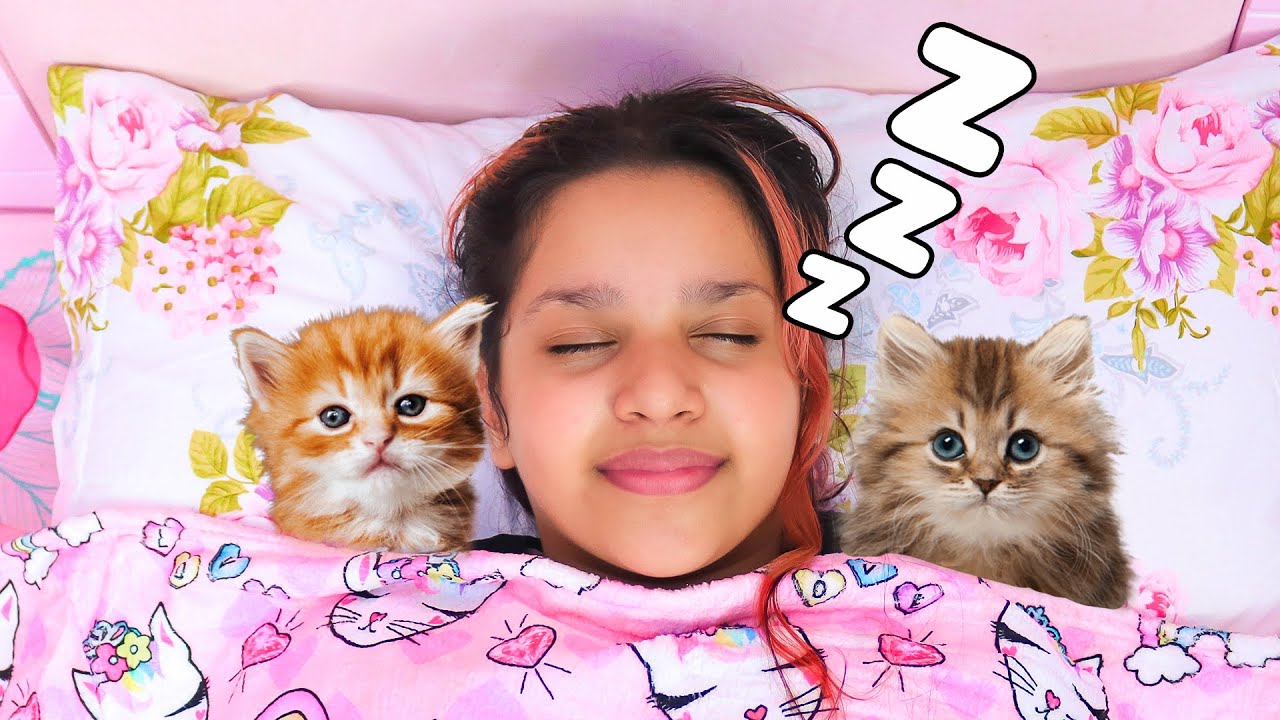 شفا تريد تكون مربية جيدة للقطط الصغيرة !! Shfa Learns How To Foster a ...