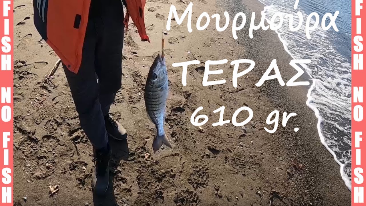 Μουρμούρα τέρας🔊 - YouTube