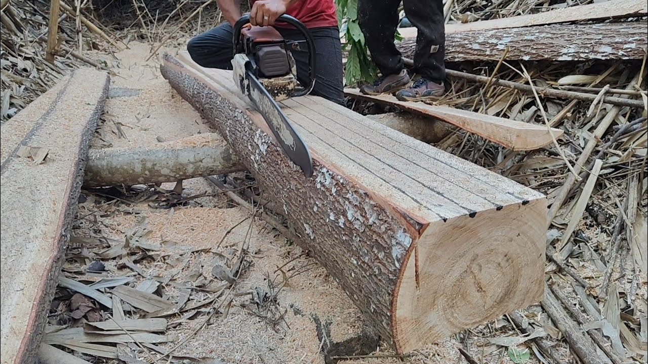 Chainsaw wood cutting expertise precise board sizing for beautiful ...