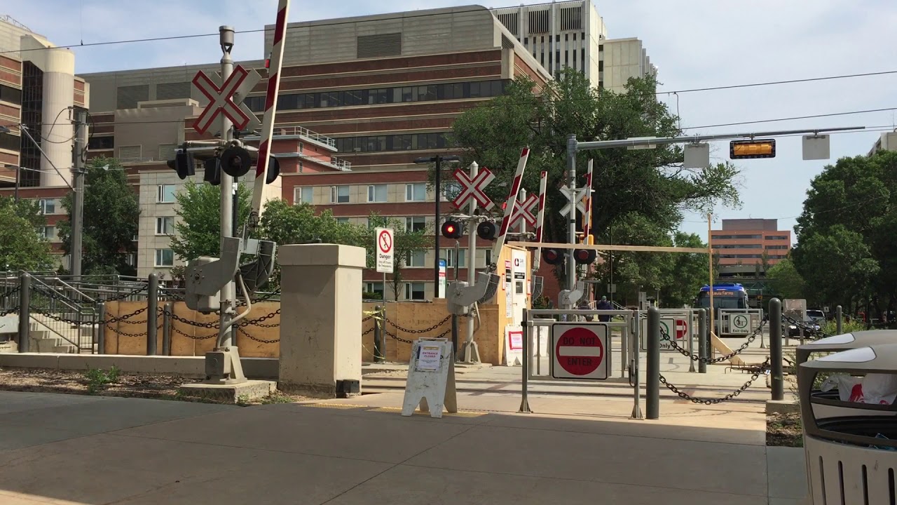 Health Sciences/Jubilee Station South Pedestrian Railway Crossings ...