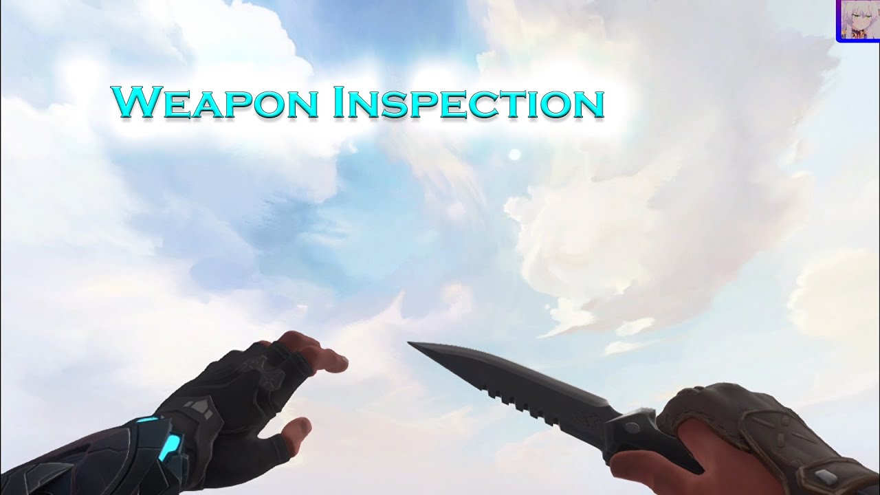 Weapon Inspection | Valorant - YouTube