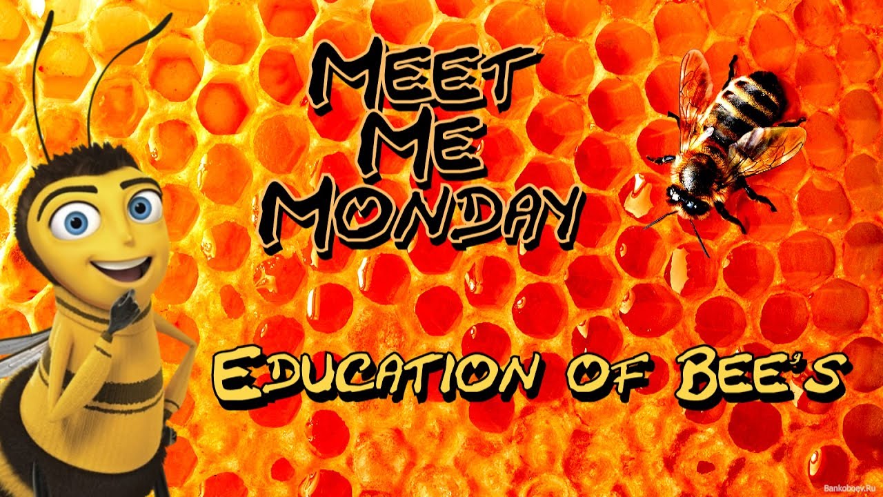 Meet Me Monday | Today We Learn About Bees - YouTube