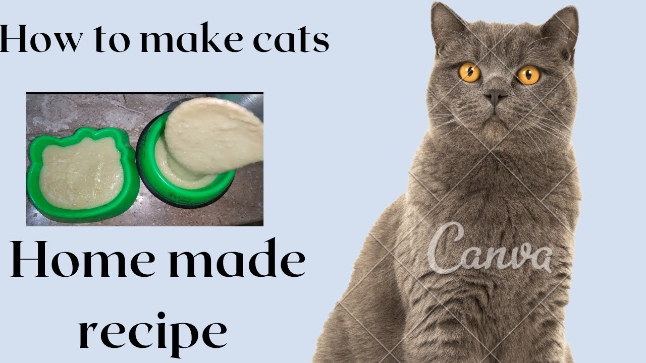 How to make cats😺||Home made recipe - YouTube