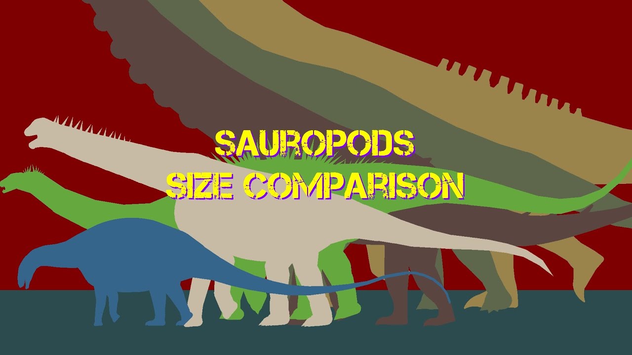 Sauropods Size Comparison 2 - YouTube