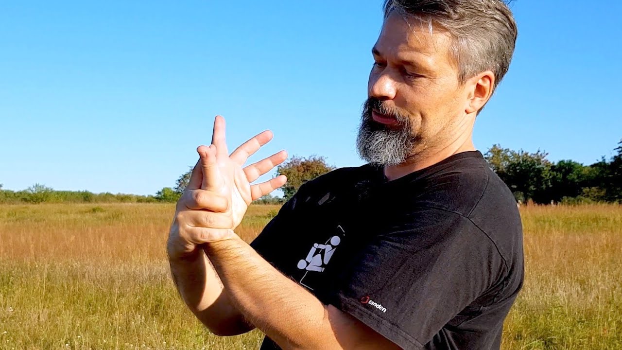 aikido/tuite WRIST LOCKS as SOLO EXERCISES - TENDON transformation ...