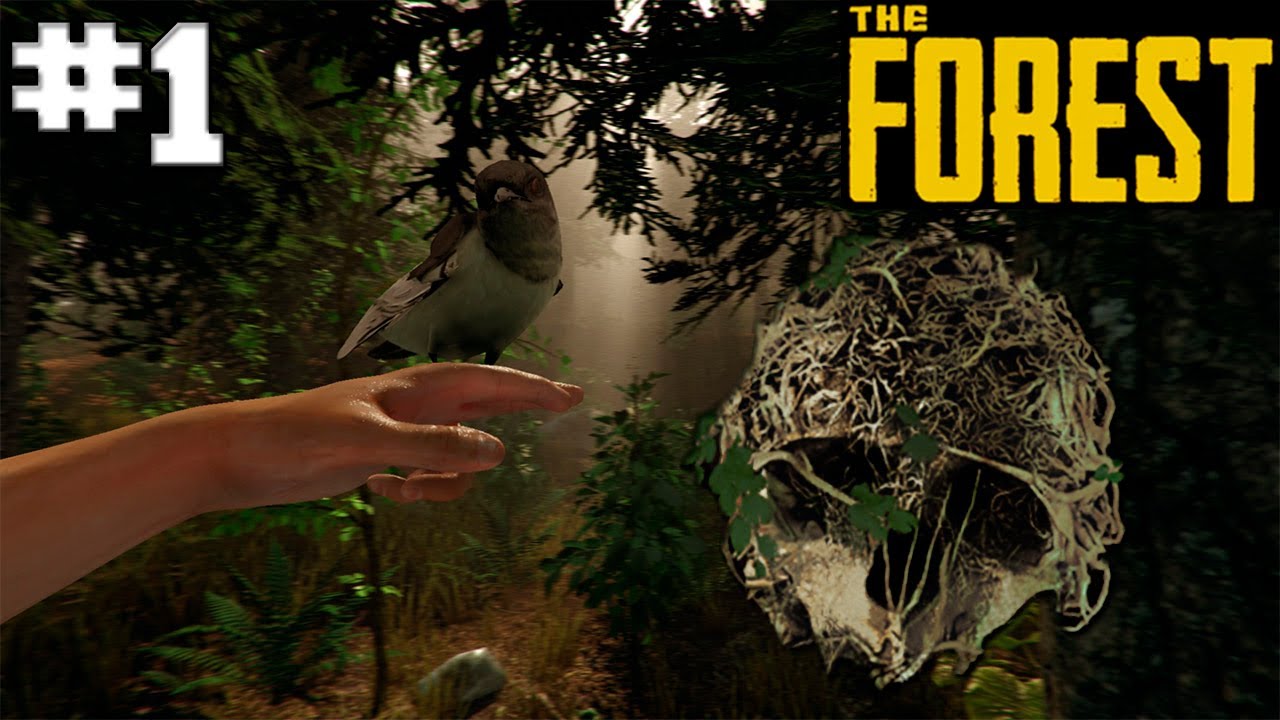The Forest #1 Um Pouco Assustador & Nova Aventura ! C/Facecam - YouTube