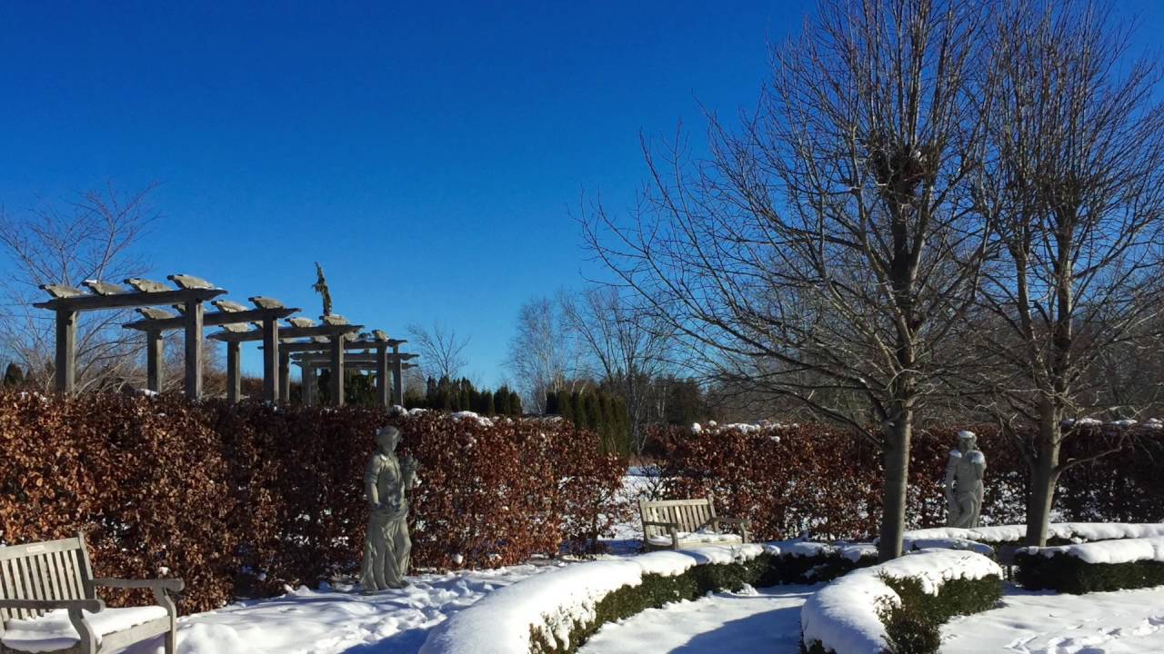 5 minute Quick Relaxation Break with Kathy Somers - YouTube