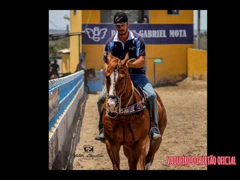 Elson Vaqueiro - Vaqueiro só presta se ele for solteiro (Vaqueiro do Sertão)
