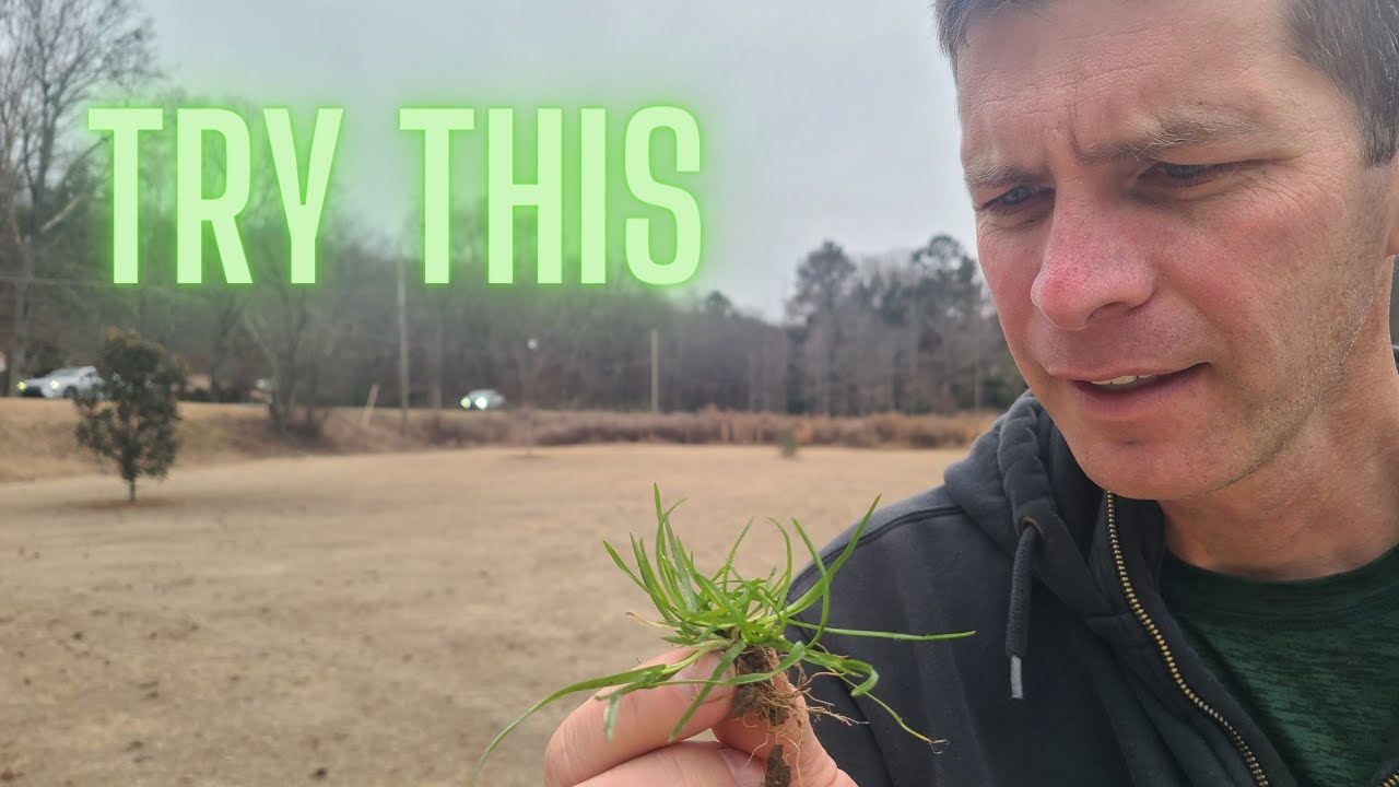 How to Identify and Kill Winter and Spring Weeds - YouTube