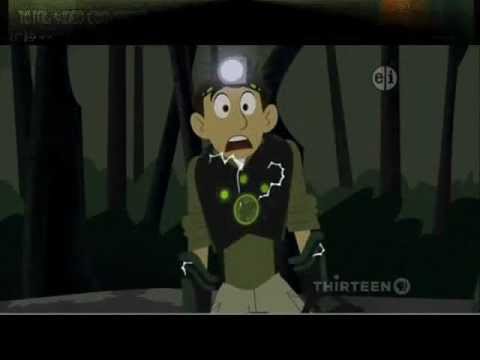 Futret Cupcakes Chris Kratt - YouTube