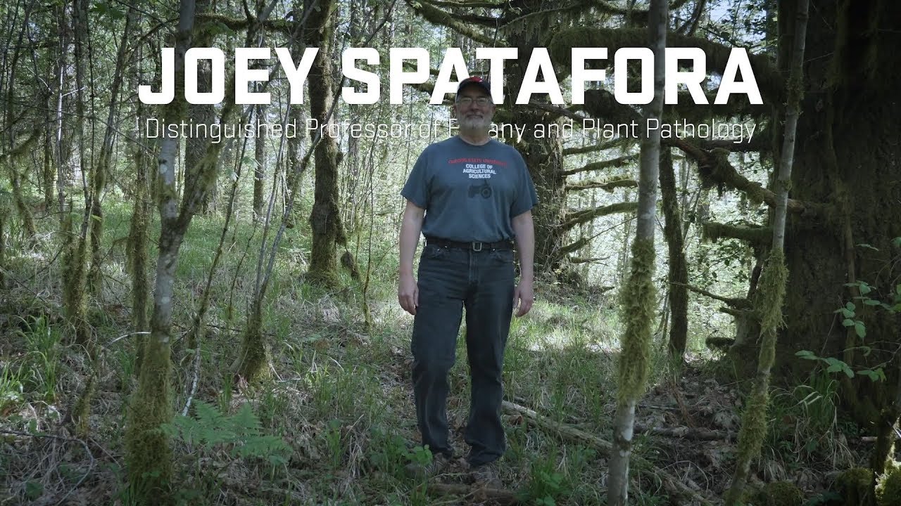 Distinguished Professor Joey Spatafora - YouTube