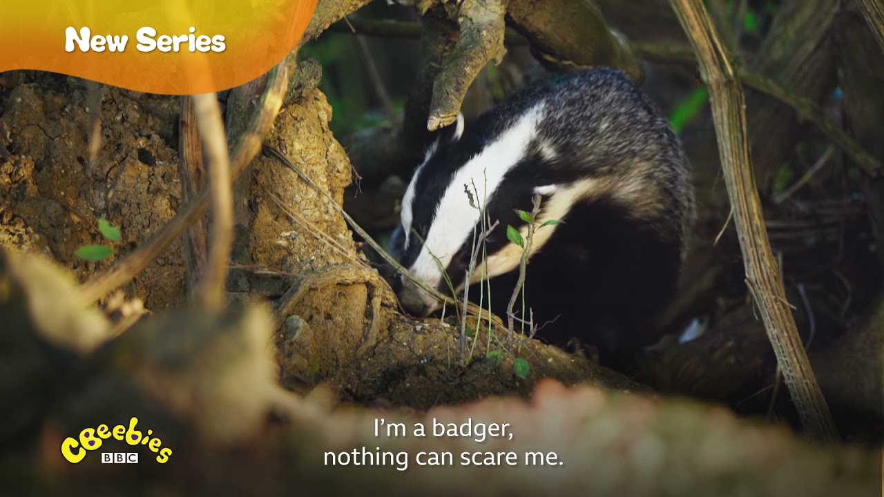 Garden Tales - Casey's Field Adventure | CBeebies Asia - YouTube
