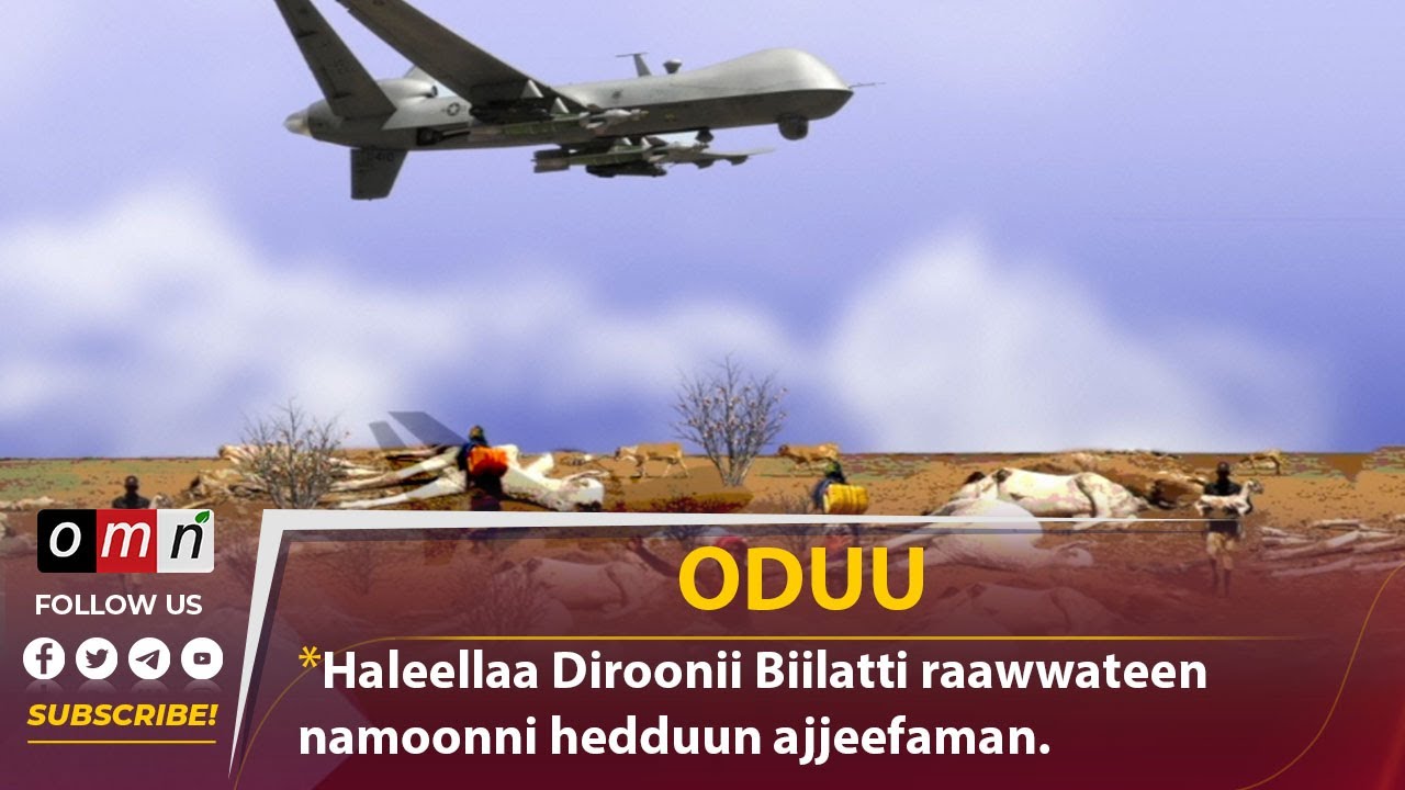 Haleellaa Diroonii Biilatti raawwateen namoonni hedduun ajjeefaman ...
