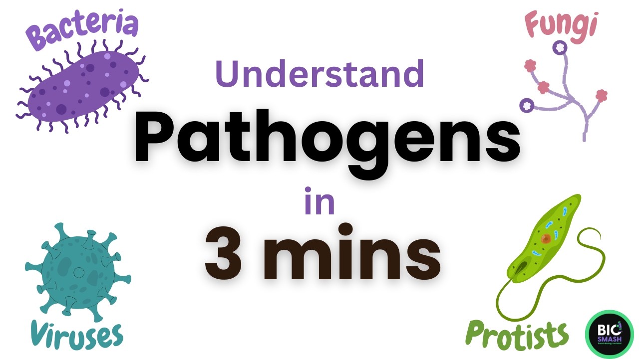 Pathogens GCSE Biology Revision | Bacteria, Viruses, Fungi & Protists ...