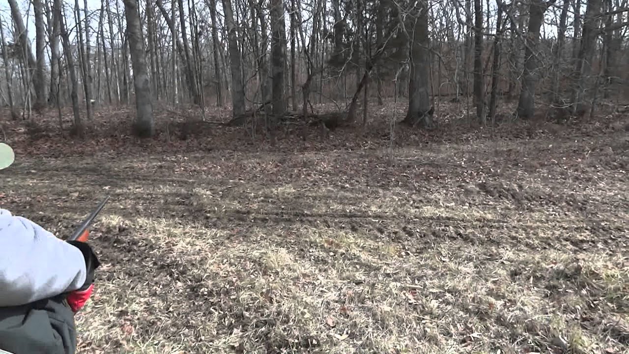 Rabbit Hunting 2-9-2013 - 19 Rabbits Killed - YouTube