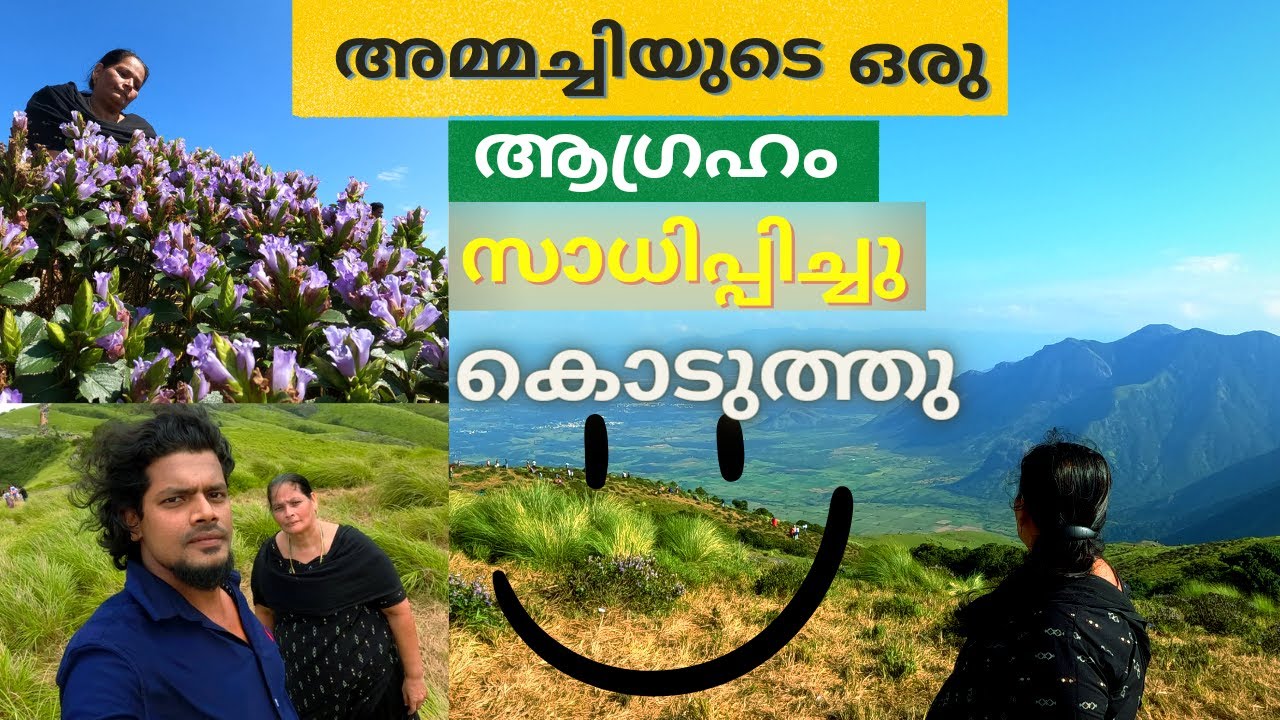 NEELAKURINJI 2022 KALLIPARA | Idukki tourist places | Munnar tourism ...