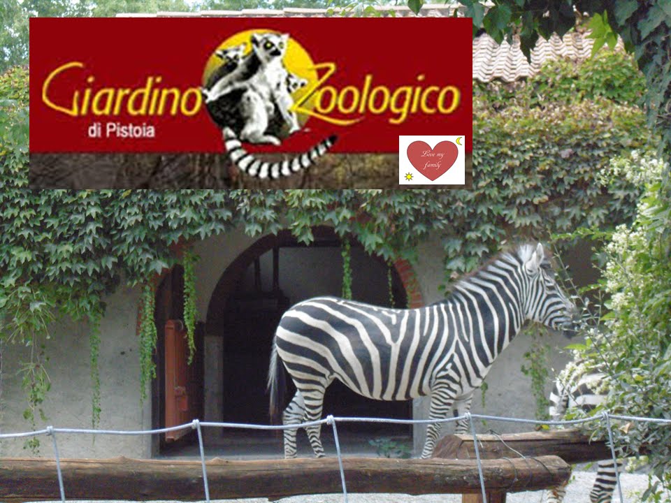 Zoo di Pistoia - Zoo of Pistoia - Italy - YouTube