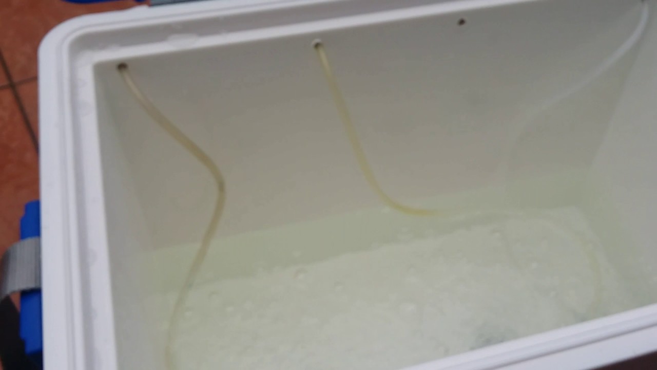 Diy Cooler box for live bait - YouTube