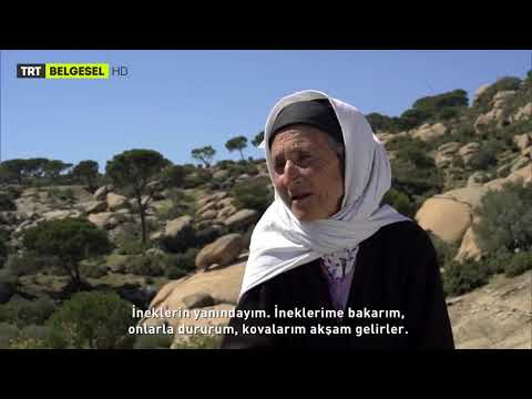 Ninemizin İmrenilecek Hayatı ve Çalışkanlığı
