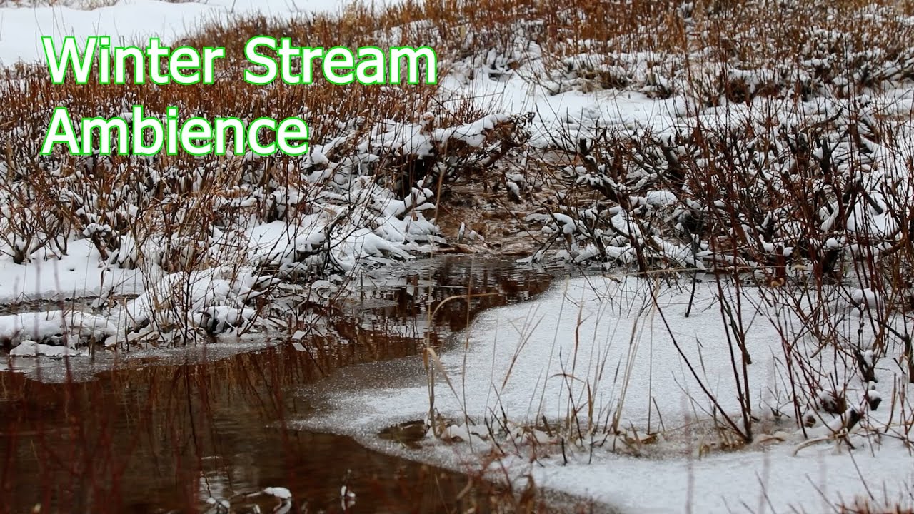 Winter Stream Ambience Trickling Water Sounds | Sleep | ASMR ...