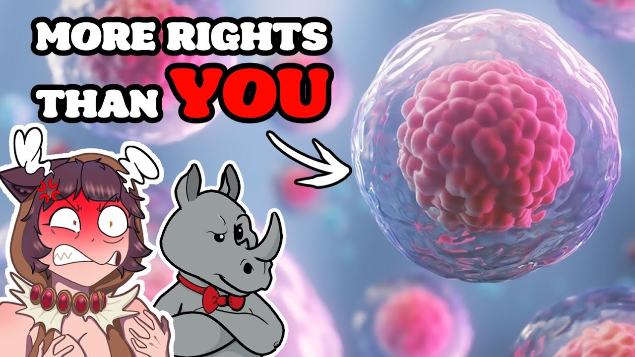 Alabama Rules Frozen Embryos Are PEOPLE! - YouTube