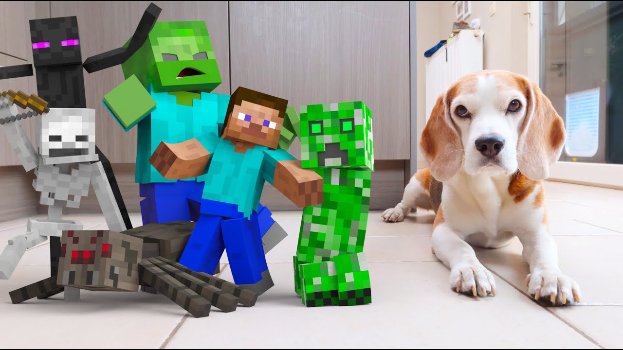MINECRAFT ZOMBIES IN REAL LIFE ANIMATION - YouTube