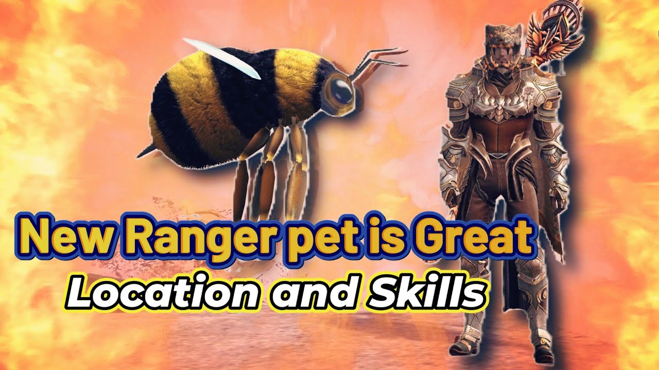 New Bee Ranger Pet Location and Skills Demo - YouTube