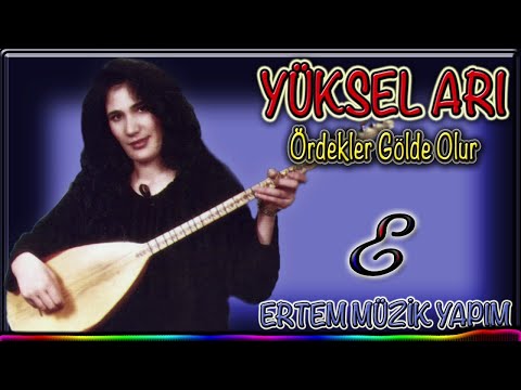 Yüksel Arı-Ördekler Gölde Olur