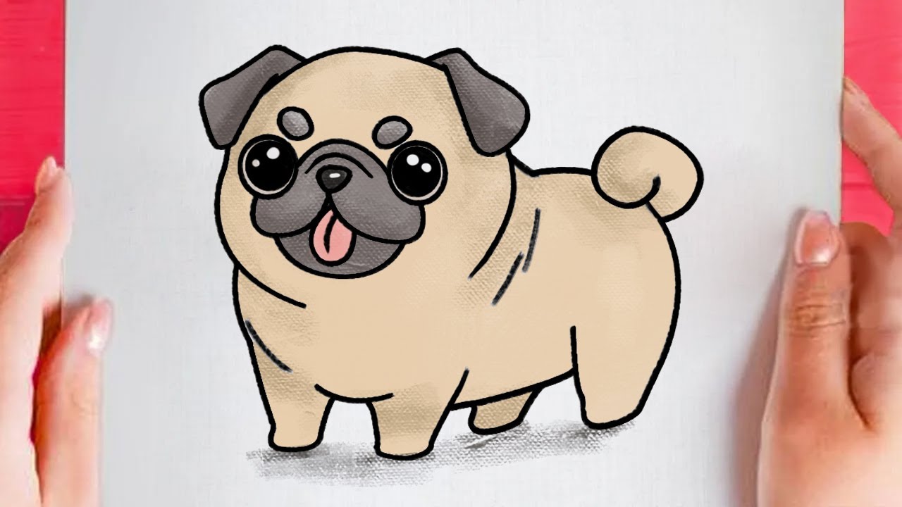 come disegnare un carlino carino - YouTube
