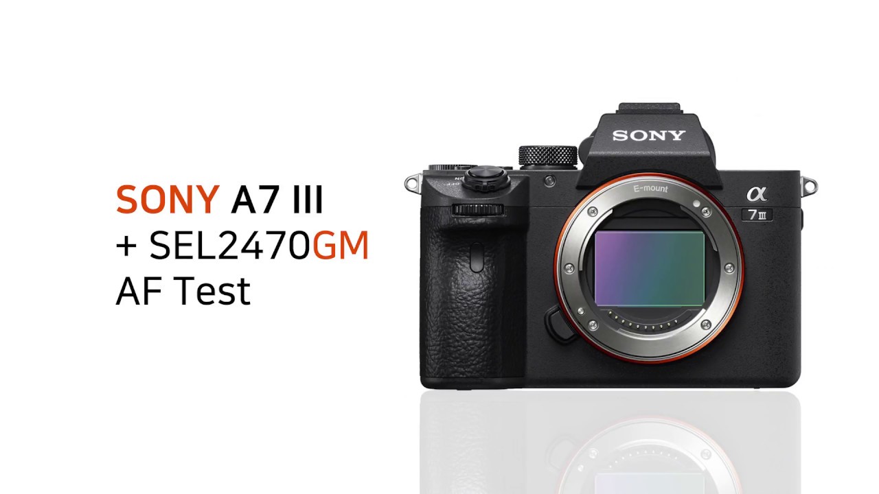 A7 III (A7M3) + FE 24-70 GM AF 테스트 - YouTube