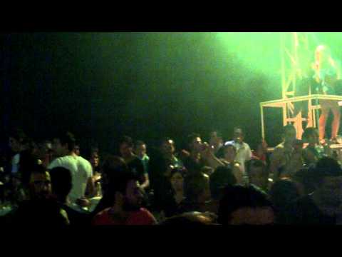 Ceila Disco Dedeman Ant