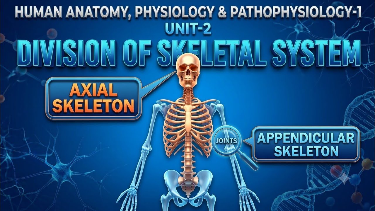 HUMAN ANATOMY PHYSIOLOGY AND PATHOPHYSIOLOGY-1= UNIT-2 # DIVISION OF ...