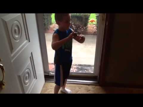 Kids and their turtle creeper! ;) - YouTube
