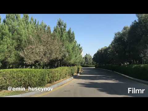 Emin Hüseynov - Ölmedim (şeir)