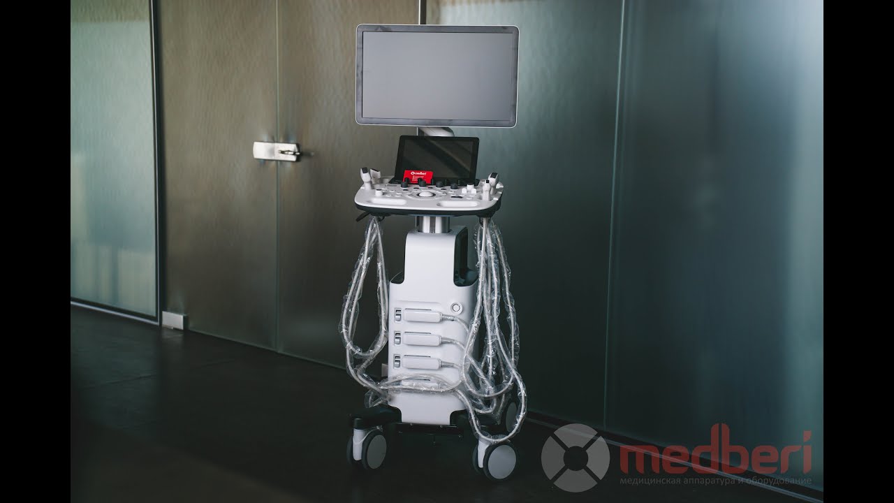 HS40 - универсальный ультразвуковой сканер производства компании ...