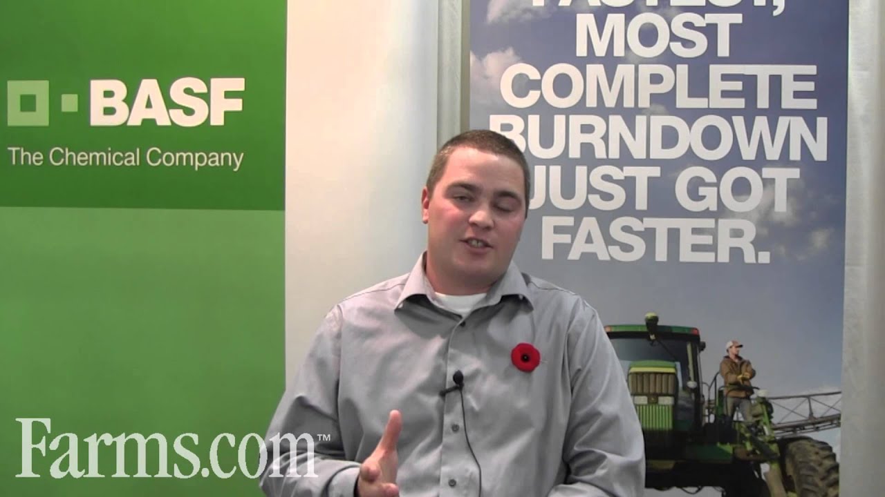 BASF Heat LQ Provides Quicker Weed Burn Down And Canola Dessicant ...